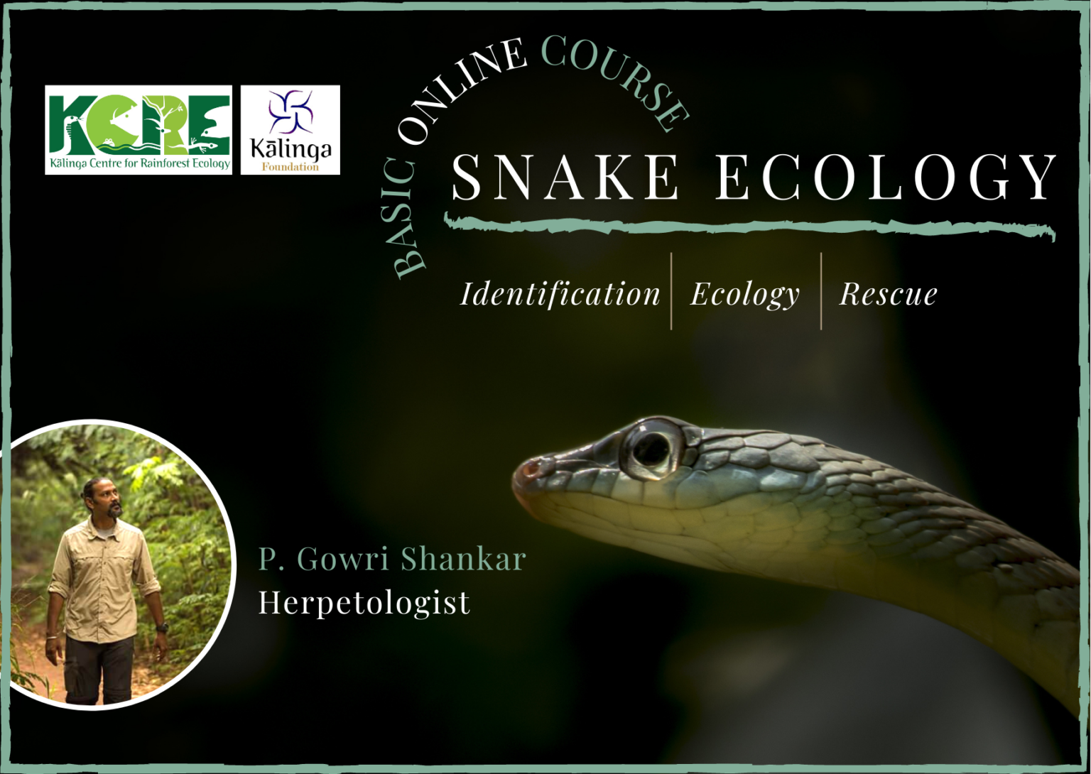 Snake Ecology - kalingacre