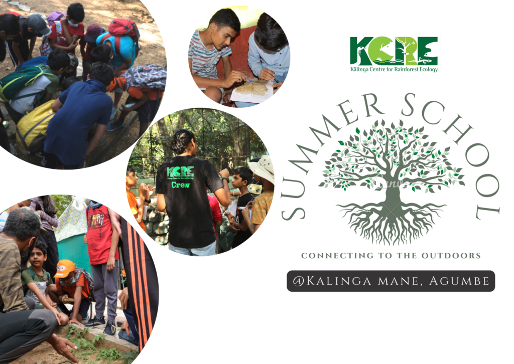 Summer School KCRE - kalingacre