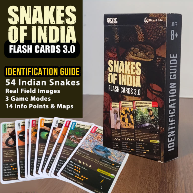 Snakes Of India Flash Card Game Identification Guide - kalingacre