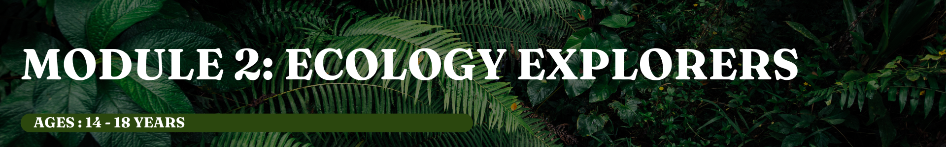 Ecology Explorers - kalingacre